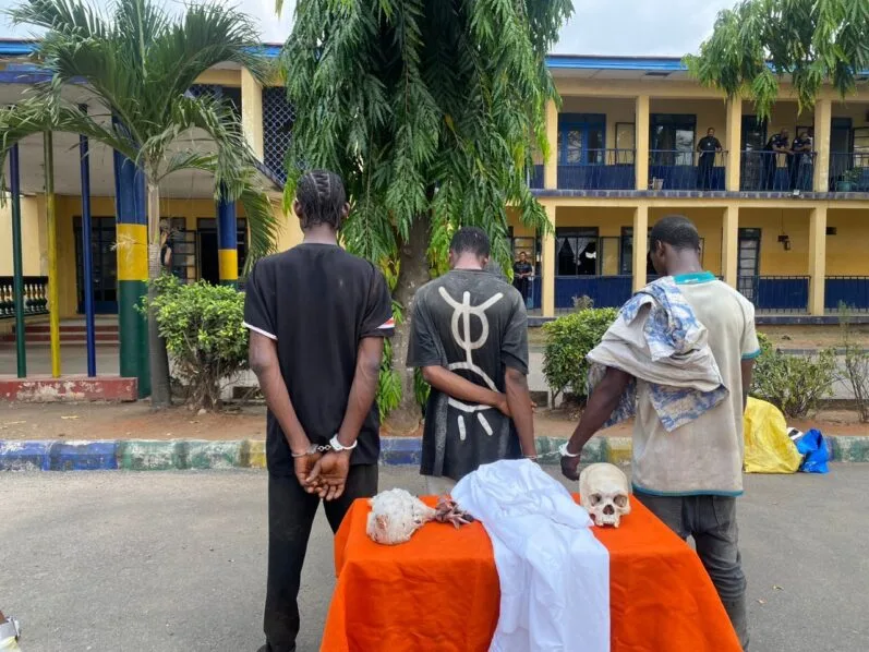 Police arrest three with human skull in Imo - The Telegraph Nigeria
