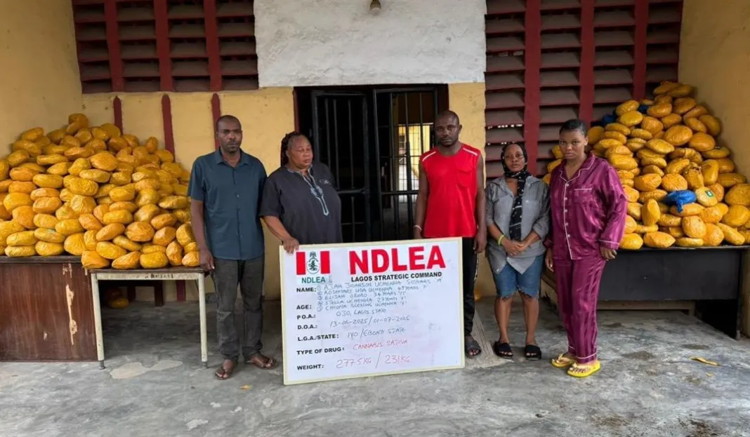 NDLEA arrests couple, daughters for drug trafficking - The Telegraph ...