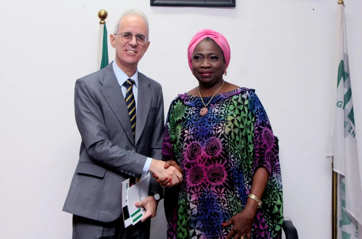 Nigeria, Turkey partner on diaspora relations - The Telegraph Nigeria