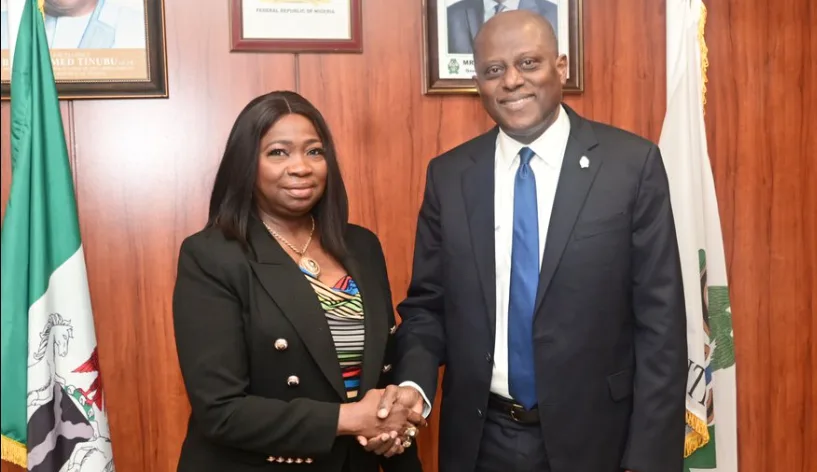 FG hails CBN reforms as diaspora remittances rise to $600m monthly ...