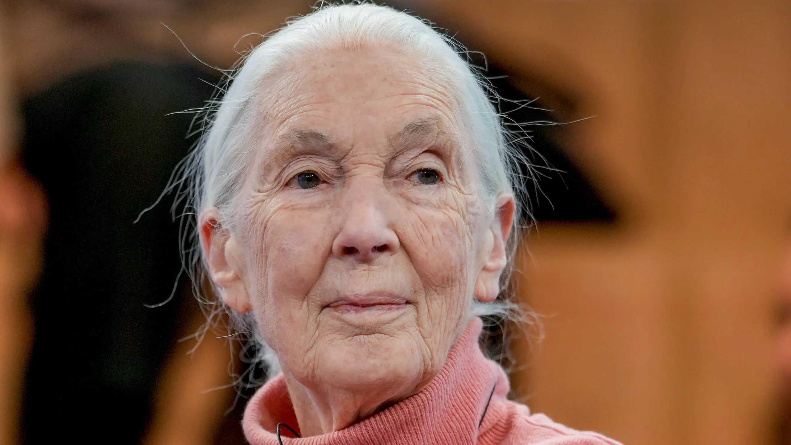 Renowned primatologist Jane Goodall dies at 91 - The Telegraph Nigeria