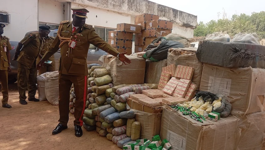 NDLEA seizes N2.8bn illicit drugs in Jigawa - The Telegraph Nigeria