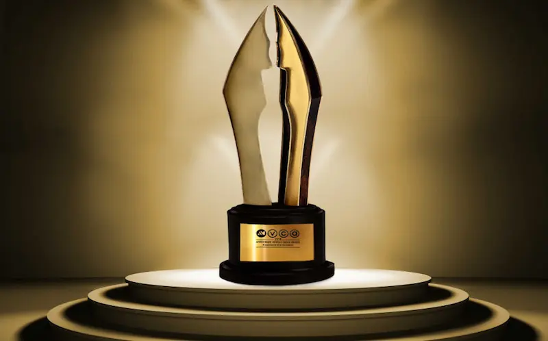 AMVCA 2026: Full list of winners - The Telegraph Nigeria