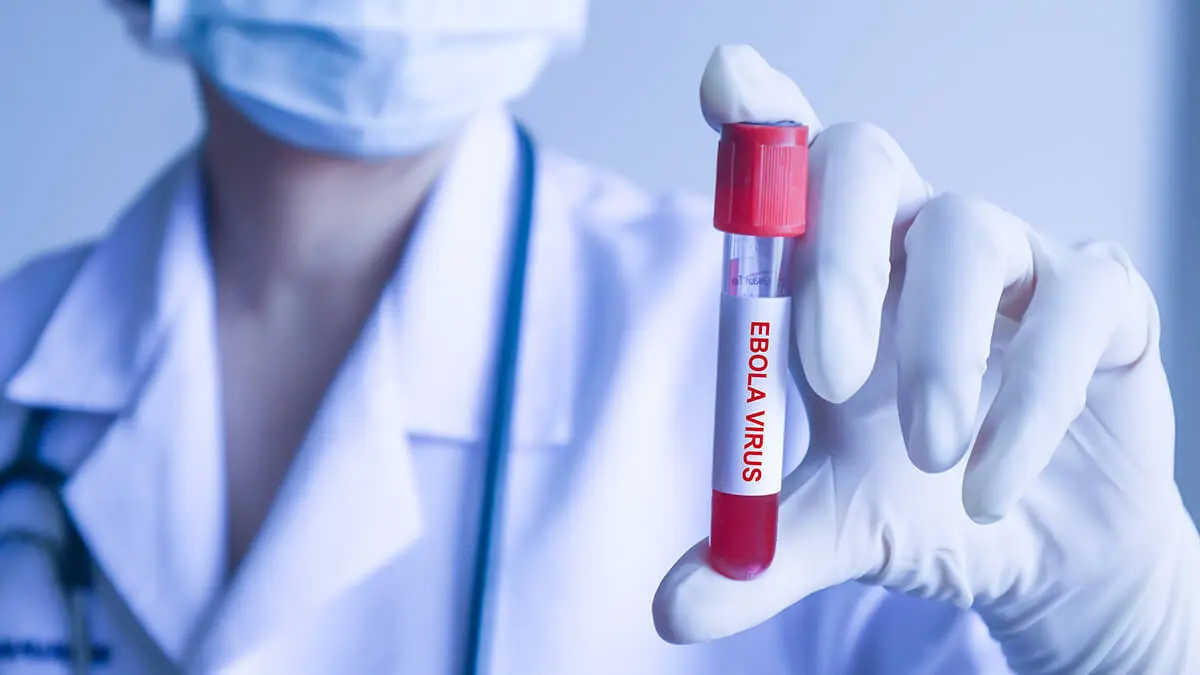 No confirmed Ebola case in Nigeria amid regional outbreak, says NCDC ...
